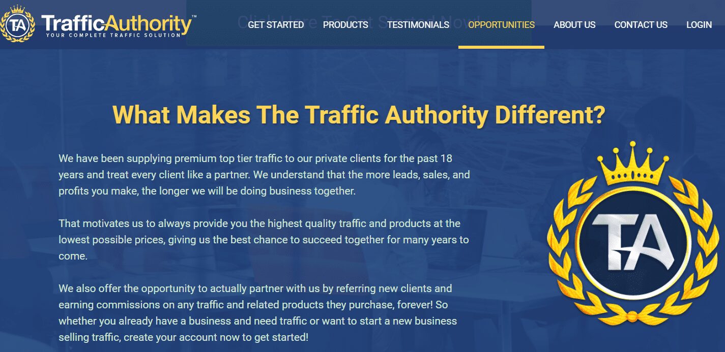 Traffic Authority Review – Boost Your Online Presence with Expert ...